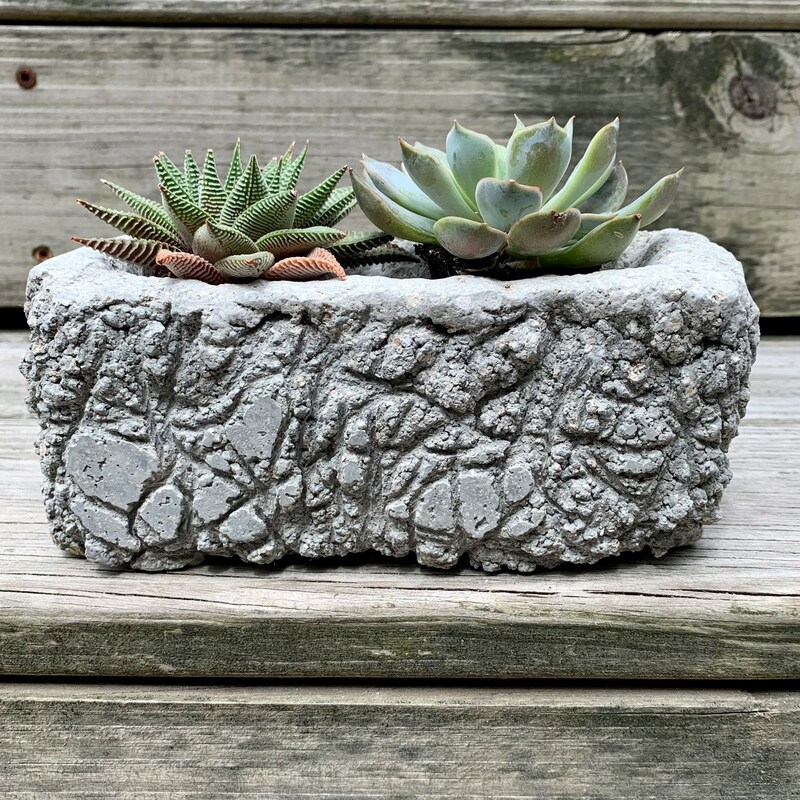 Hypertufa Planter - Etsy