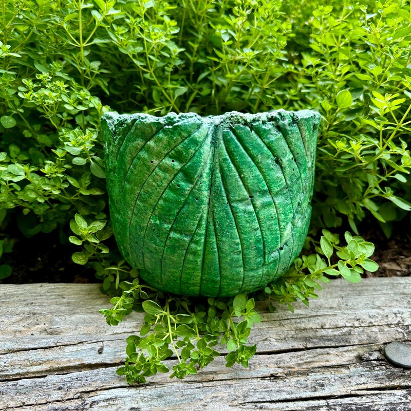 Hypertufa Pots - Etsy
