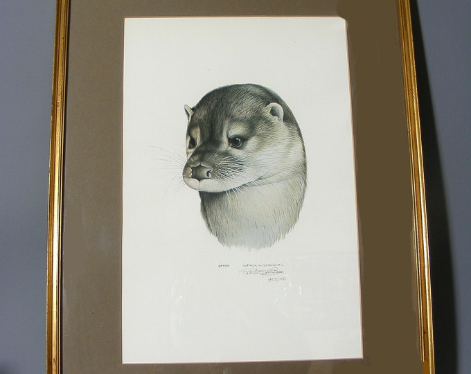 Vintage Patrick Oxenham Limited Edition Otter Picture, Wildlife Picture ...