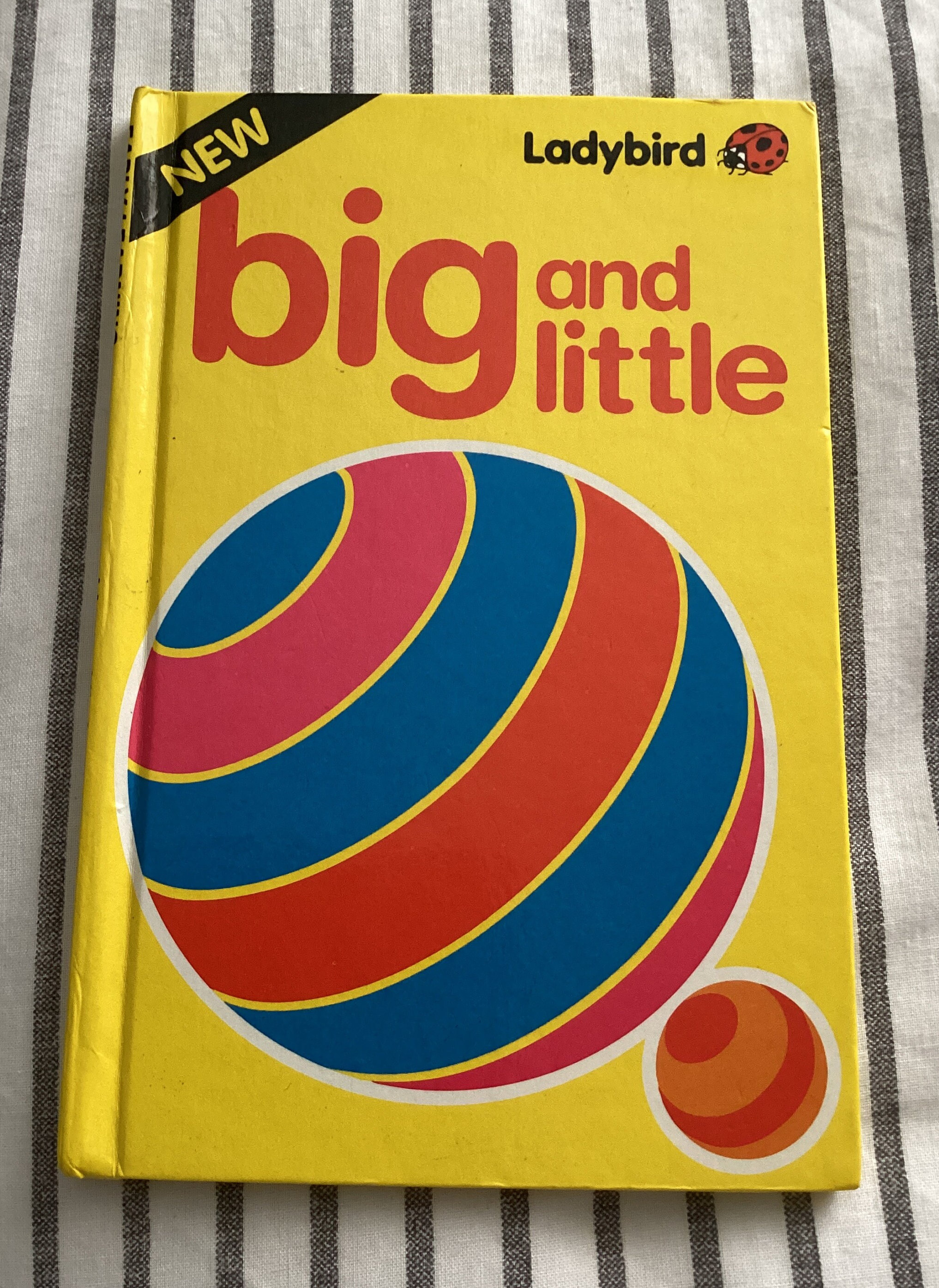 Retro Ladybird Book BIG and Little Book My First Learning Books - Etsy UK