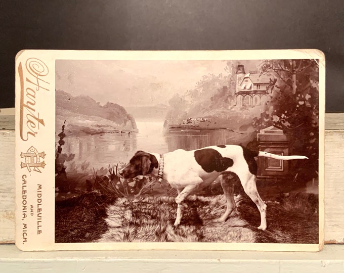 Antique Lithograph Print, English Pointer Hunting Dogs, by American ...