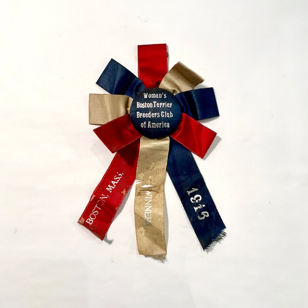 Antique Boston Terrier Award Ribbon, Ca: 1916. - Etsy
