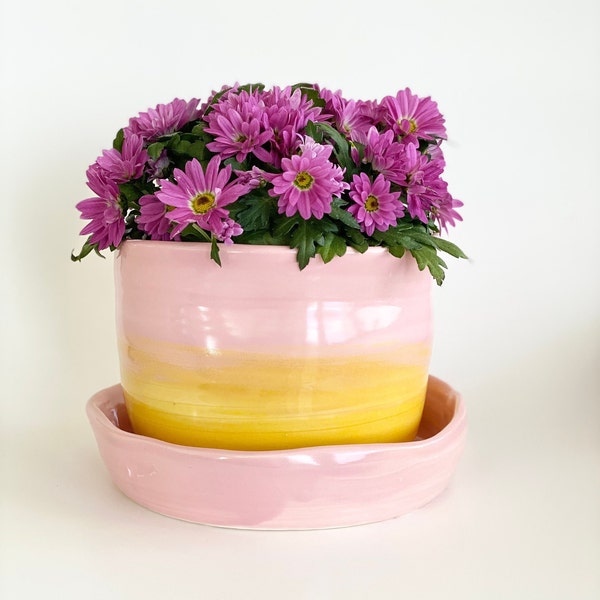 Pink Planter - Etsy