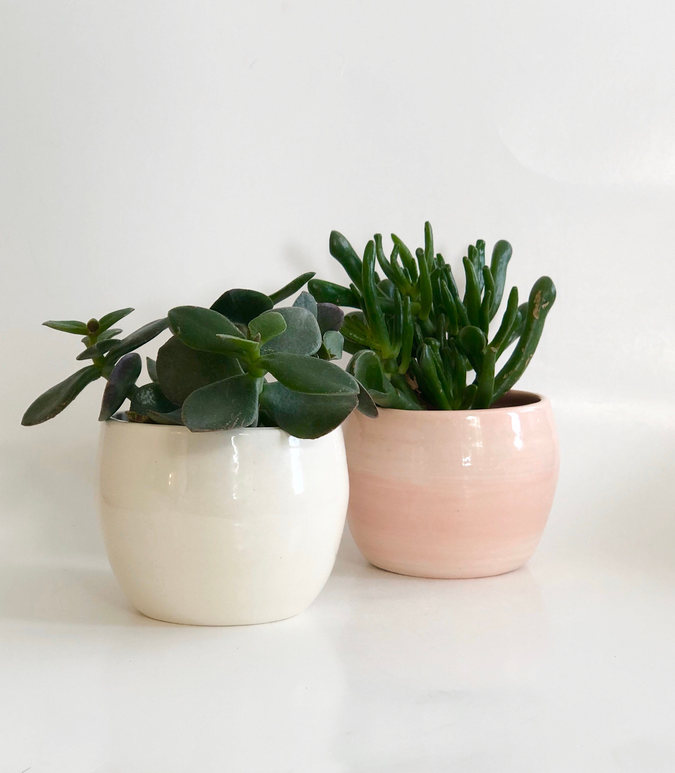 Creamy White Planter, White Pot, Off White Planter, Small White Pot ...