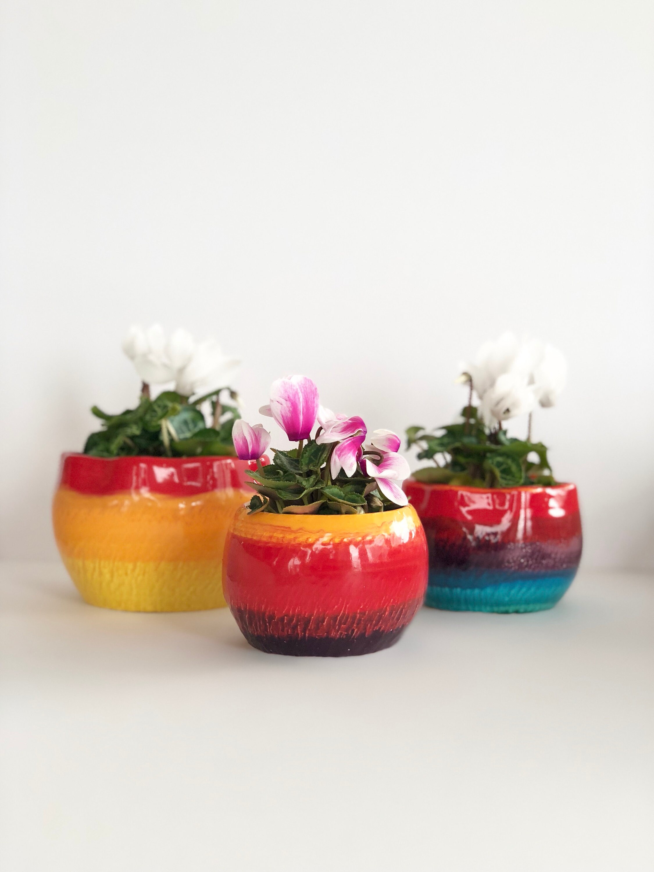 Rainbow Pot Small Handmade