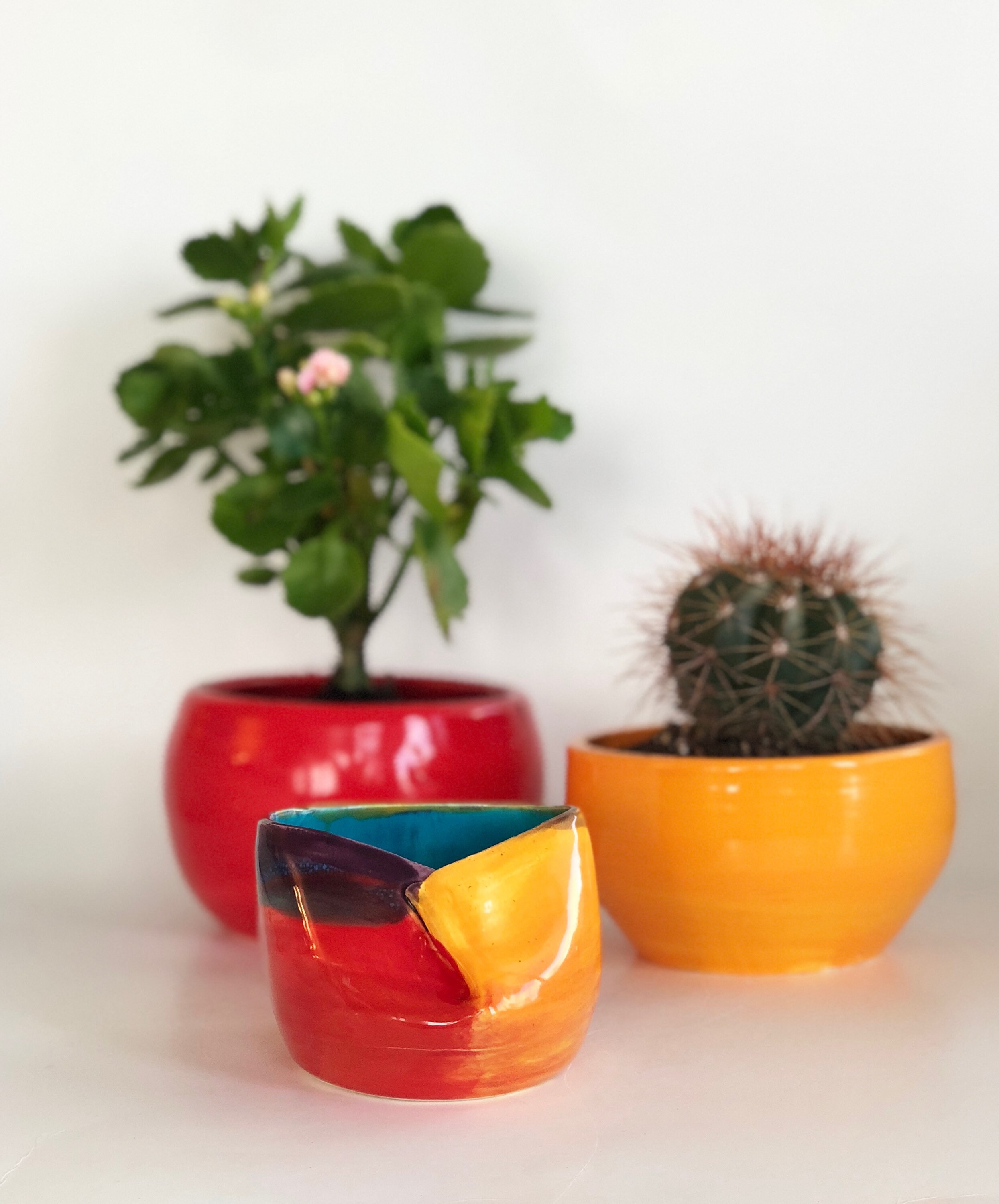 Abstract Mini Cactus Pot