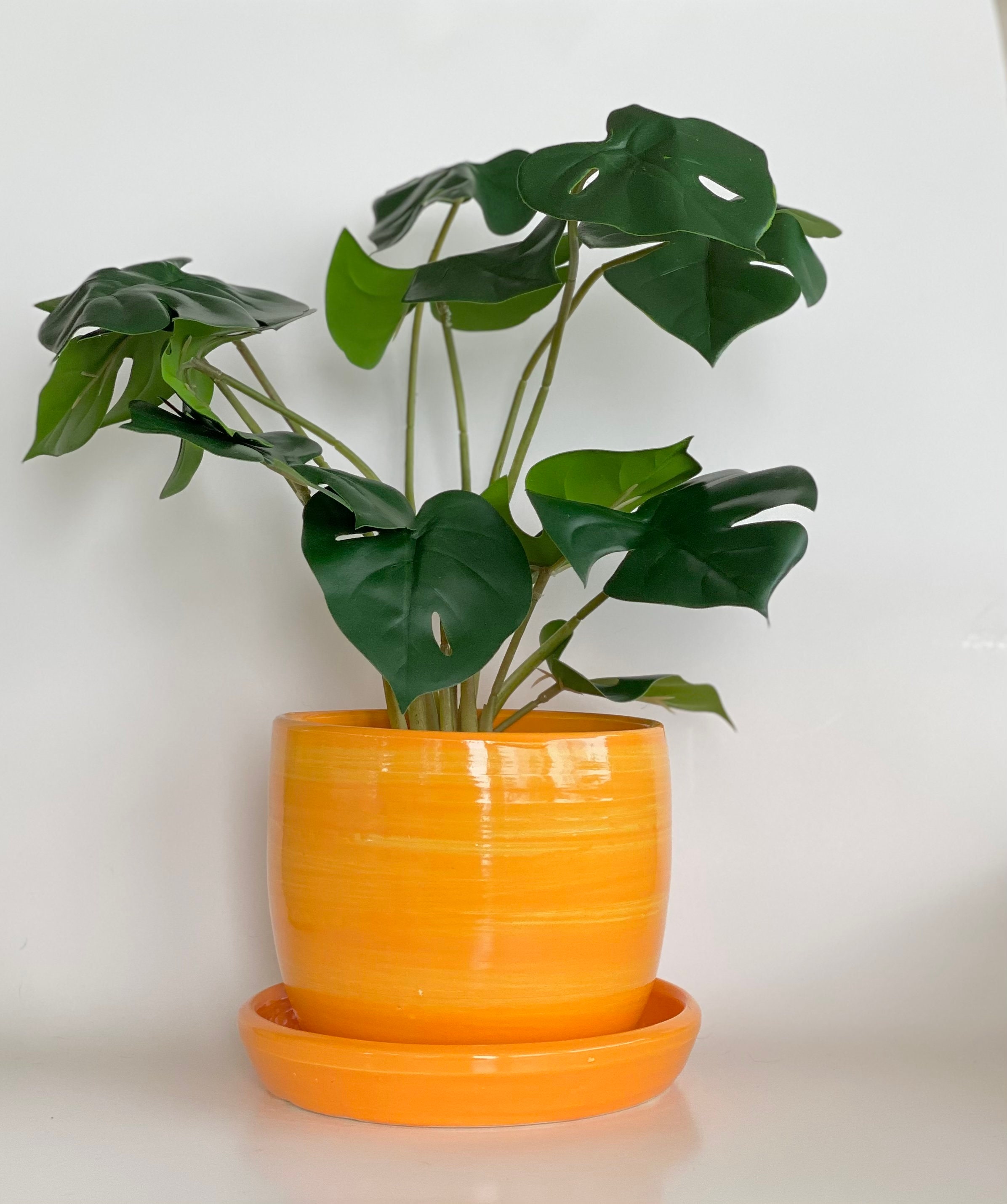 Planter Pot Drainage, Orange Planter, House Planter, Indoor Garden, Pot ...