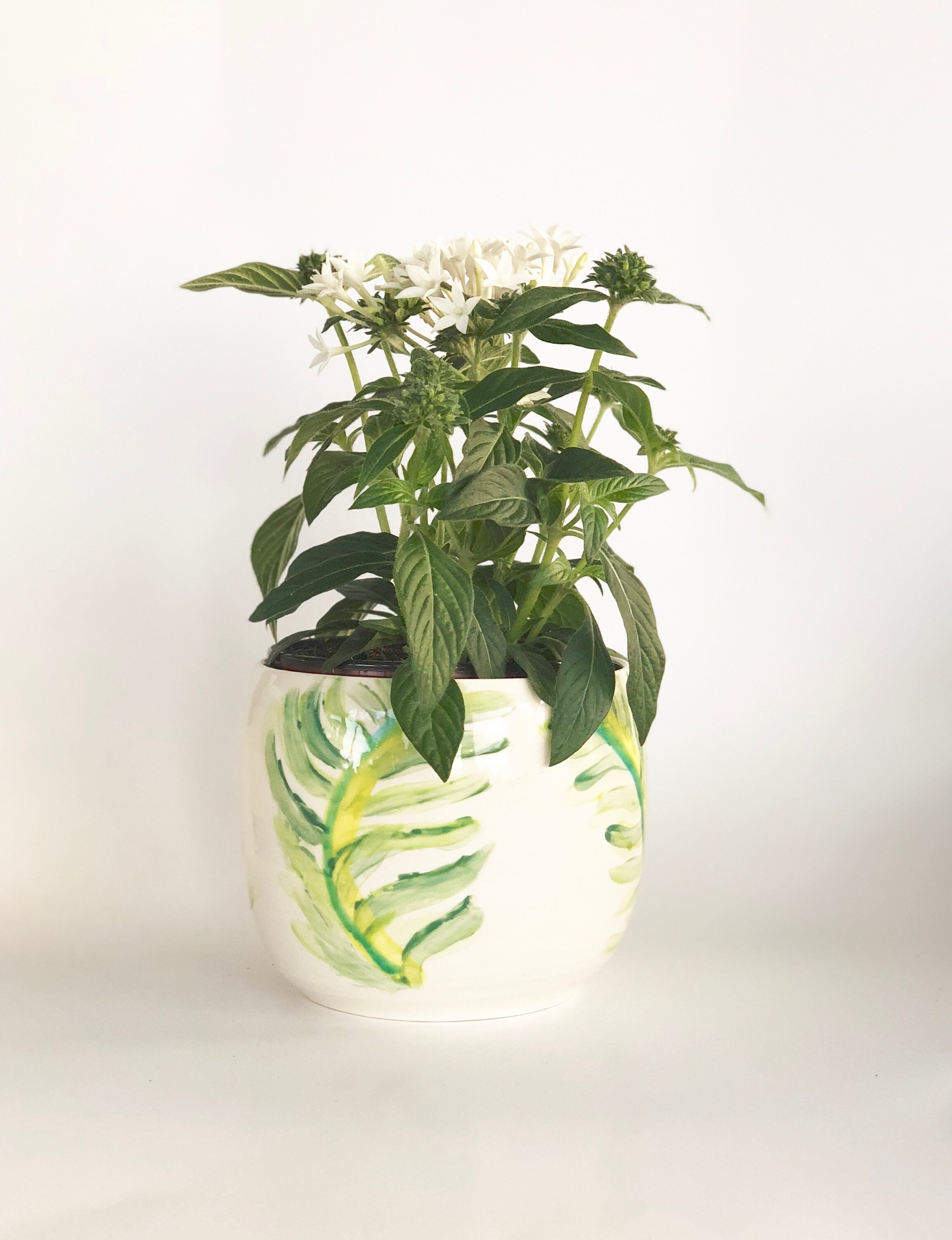 Palm Leaf Planter, Green Leaf Planter, Green and White Planter, Cache ...