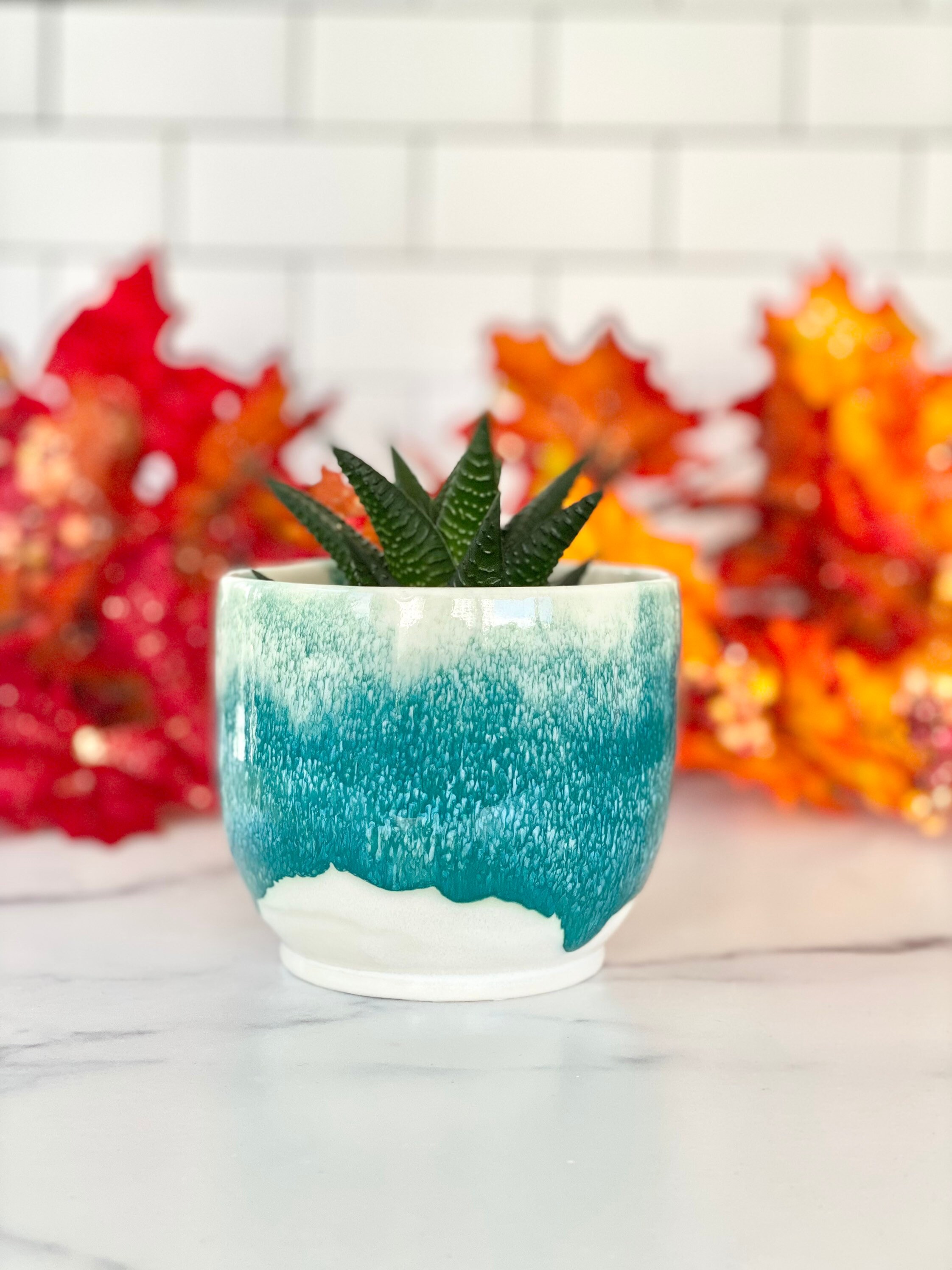 Indoor Planter, Green Planter, Indoor Garden, Window Planter, Succulent ...