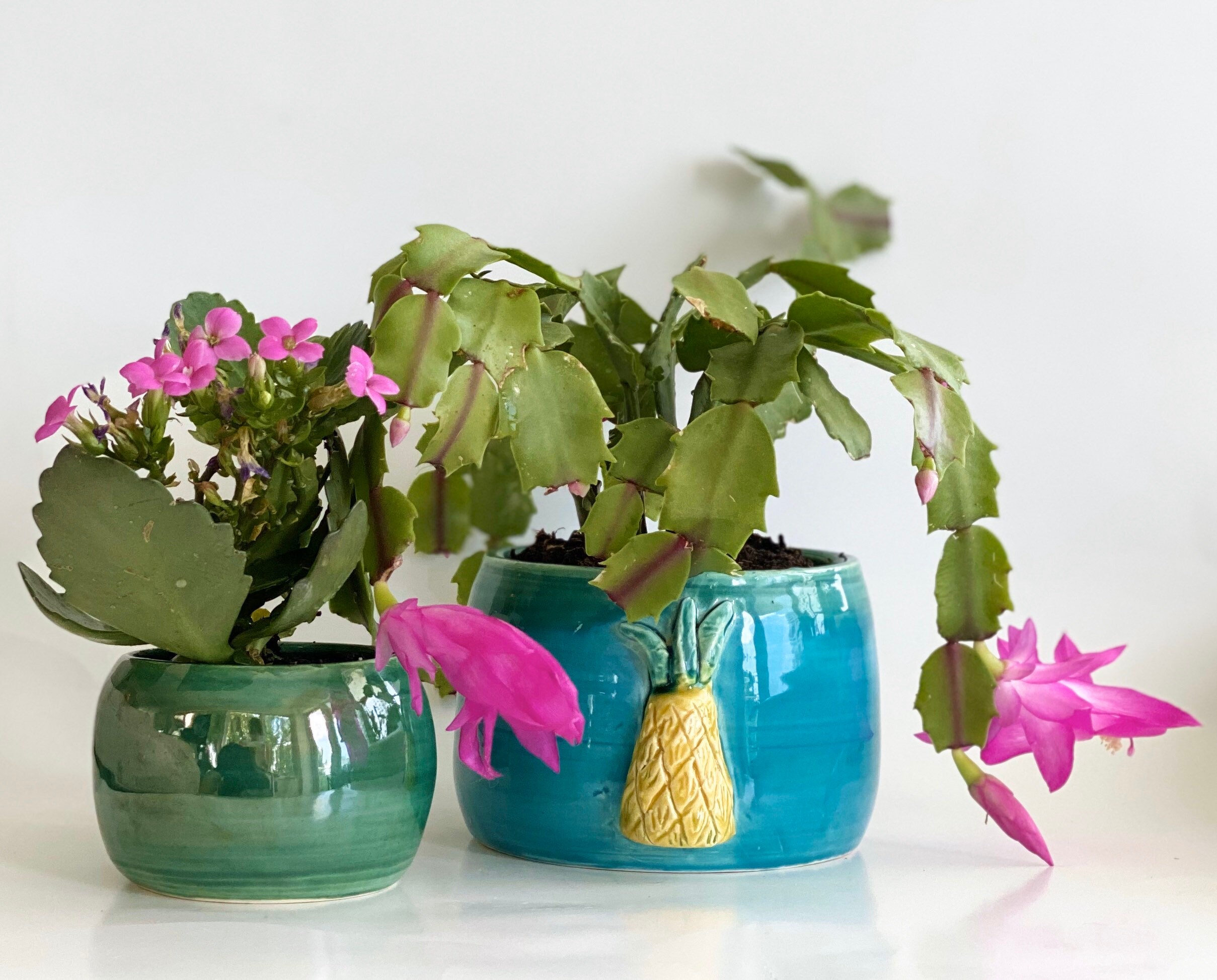 Small Aqua Planter, Handmade Ceramic Planter, Turquoise Planter for ...