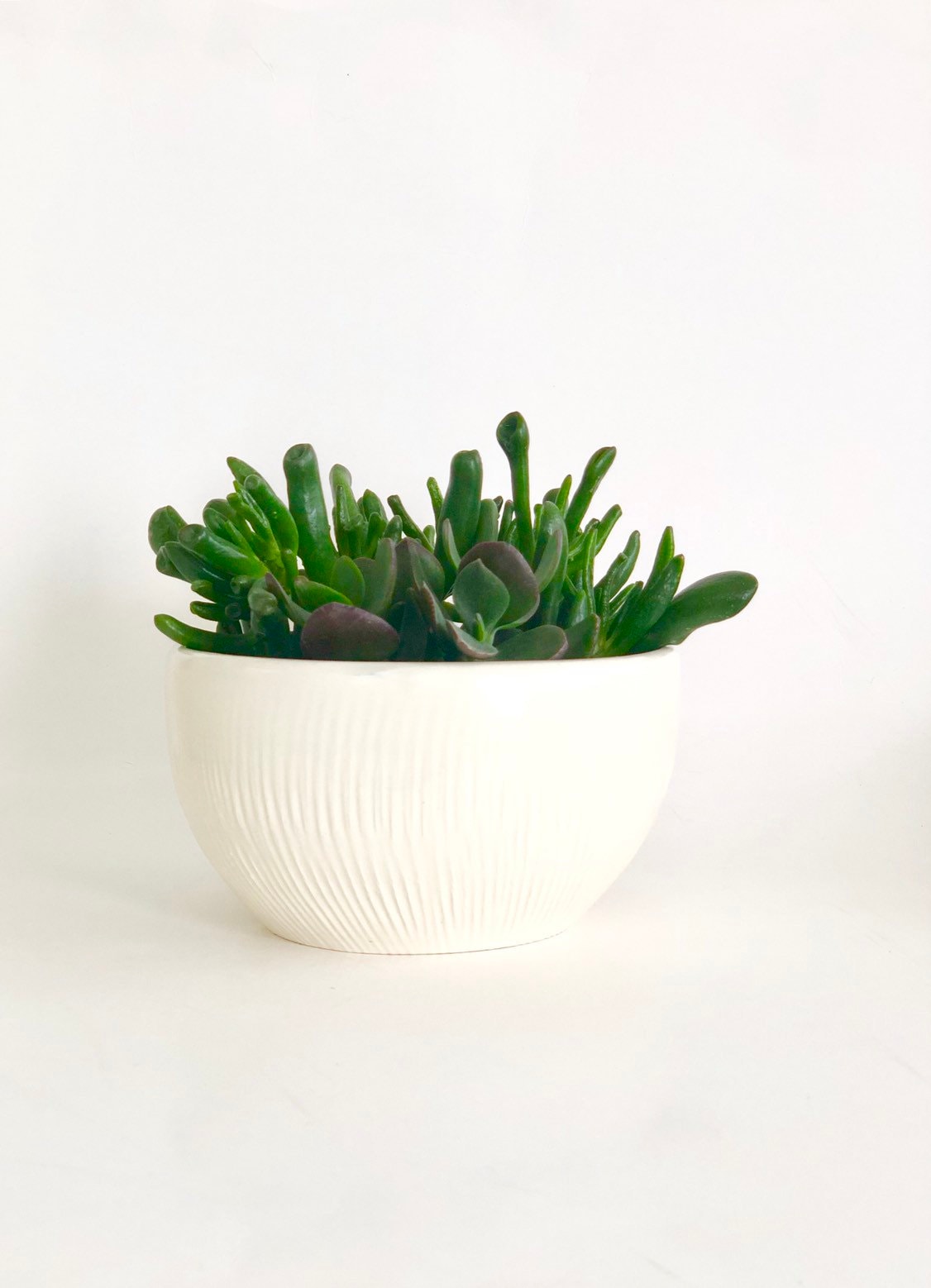Creamy White Planter Pot, White Planter, Small Modern Pot, Succulent ...