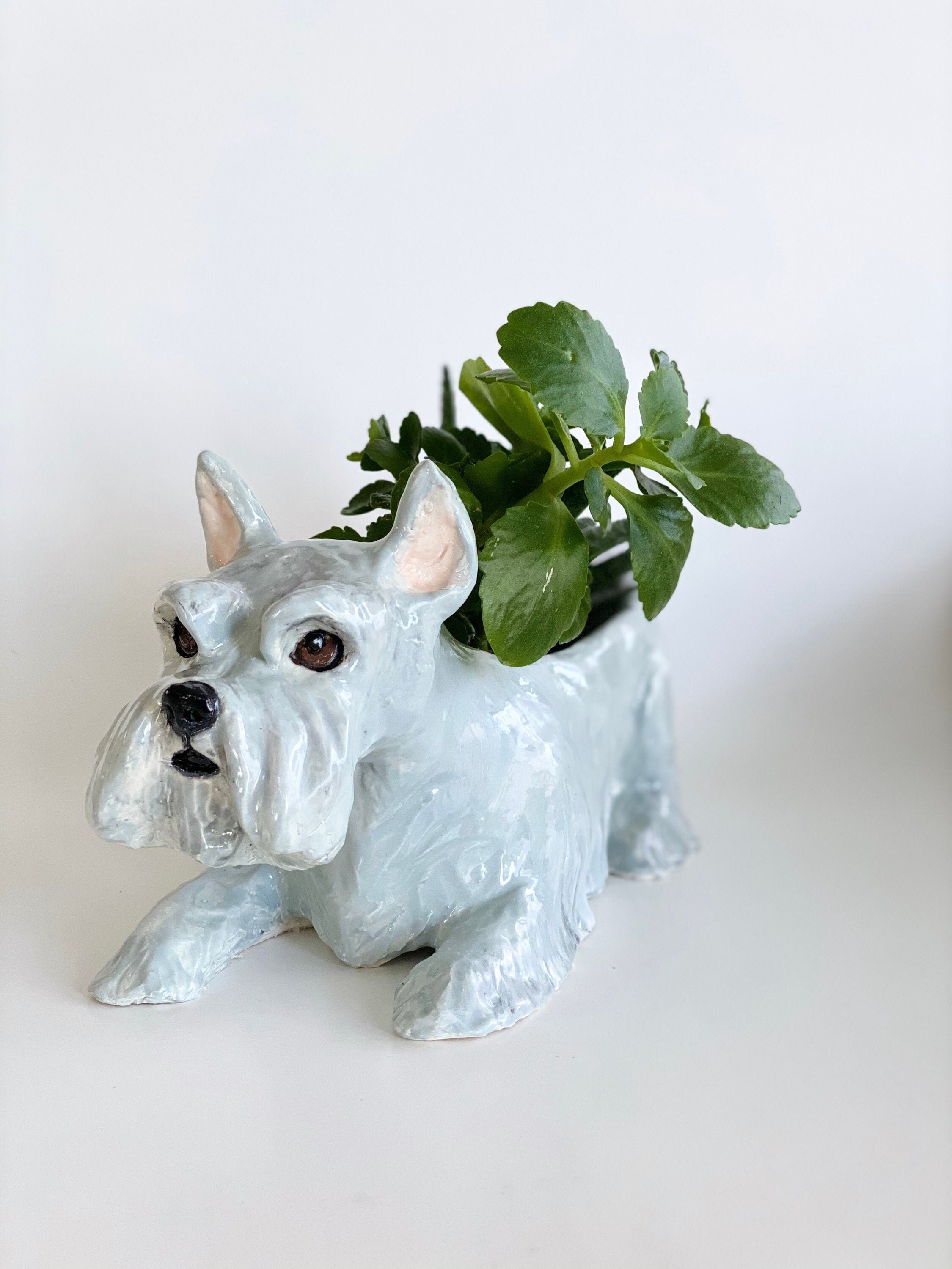 Schnauzer Planter, Dog Planter, Schnauzer Lover Gift, Schnauzer Liver ...