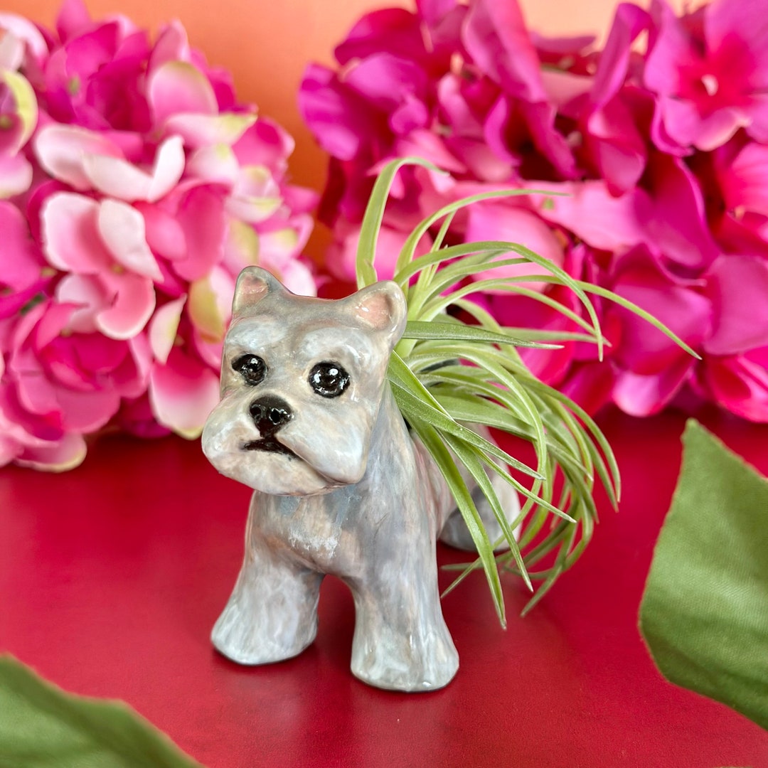 Schnauzer Air Planter Schnauzer Lover Gift Schnauzer Lover - Etsy
