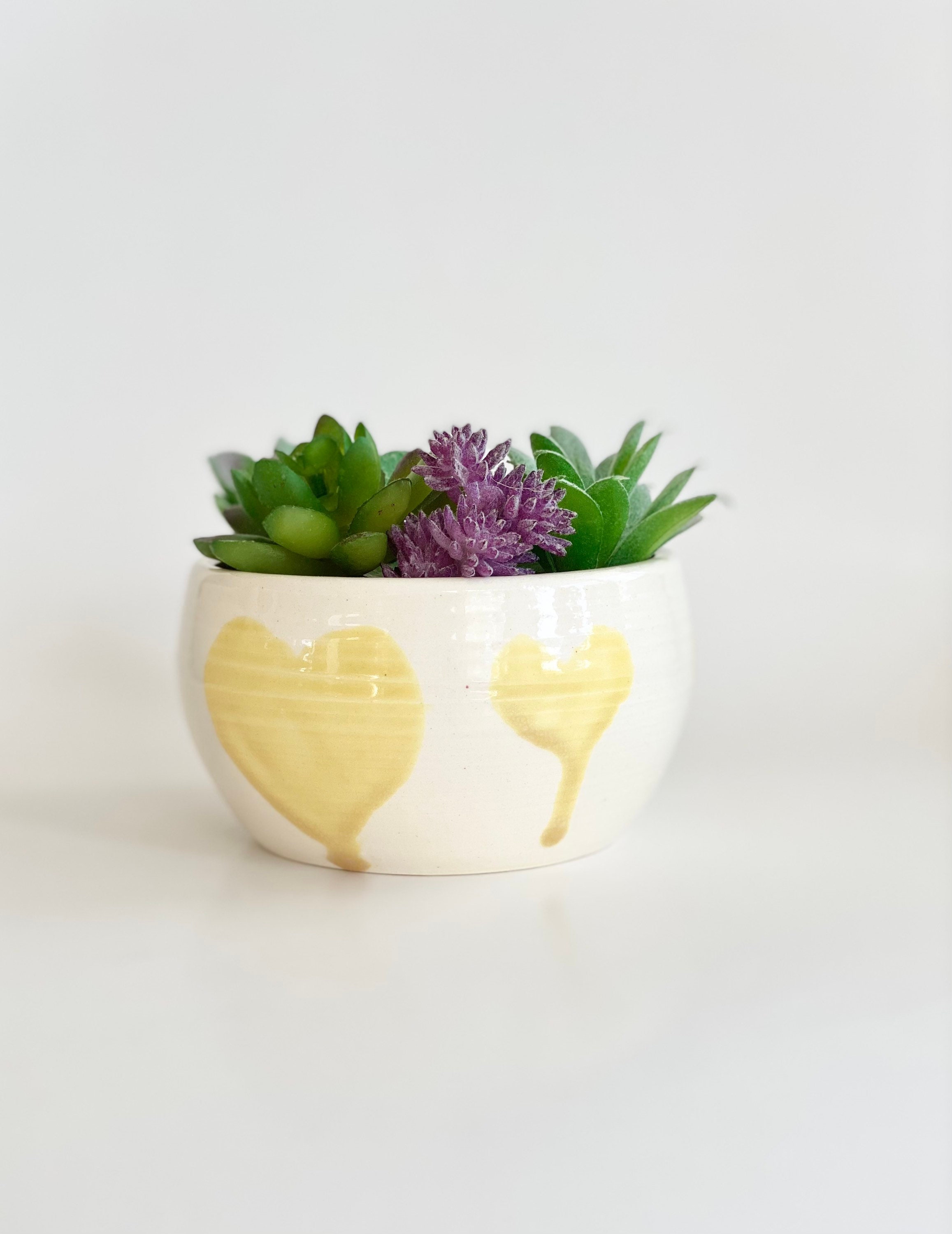 Home & Living Home Décor Cute Planter Plant Pot Heart Pot Cactus ...