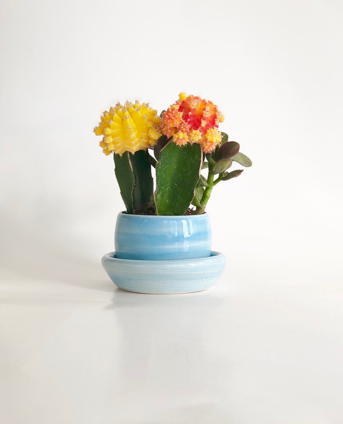 Mini Blue Ceramic Planter Pot with Drainage Holes