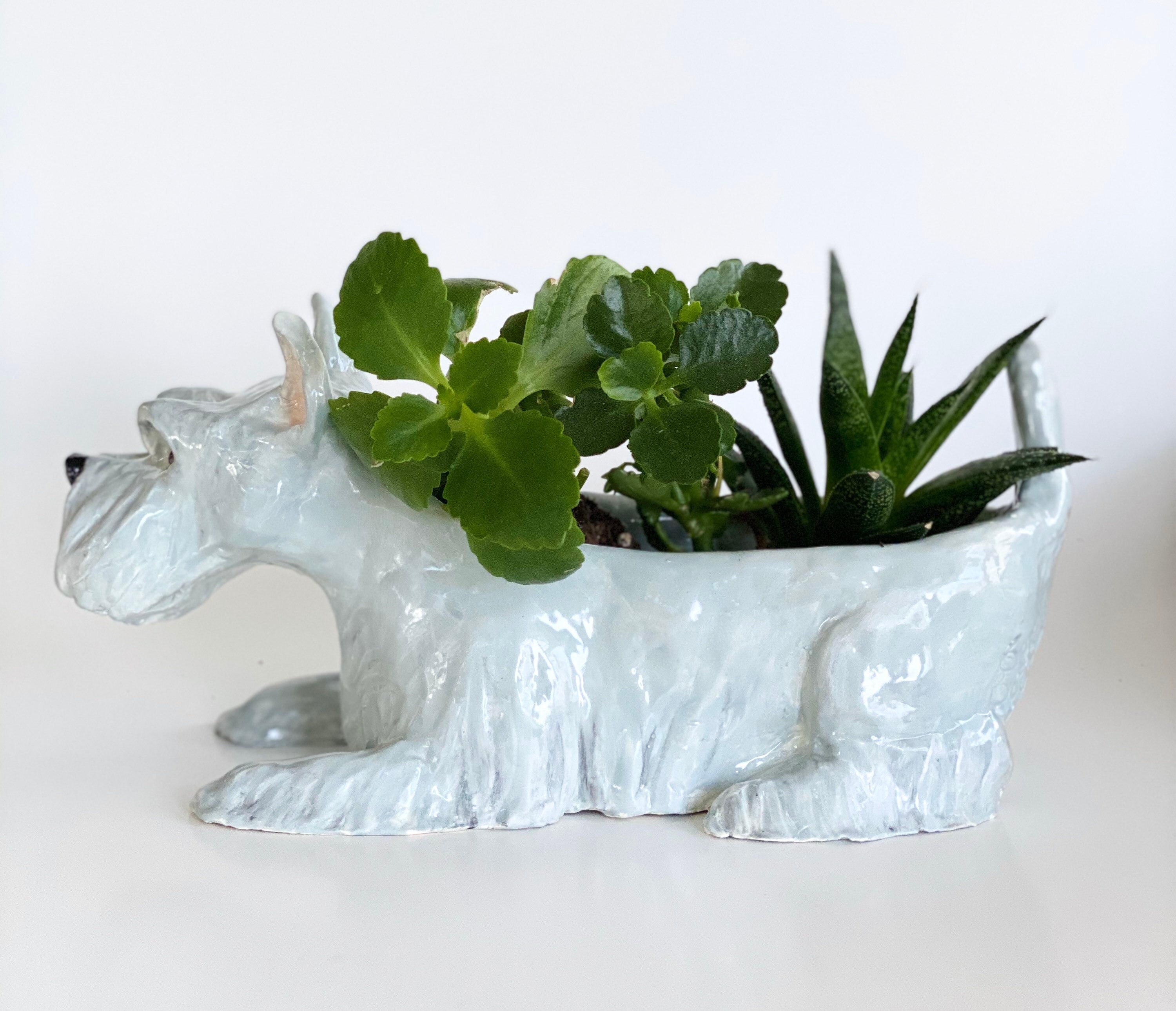 Schnauzer Planter, Dog Planter, Schnauzer Lover Gift, Schnauzer Liver ...