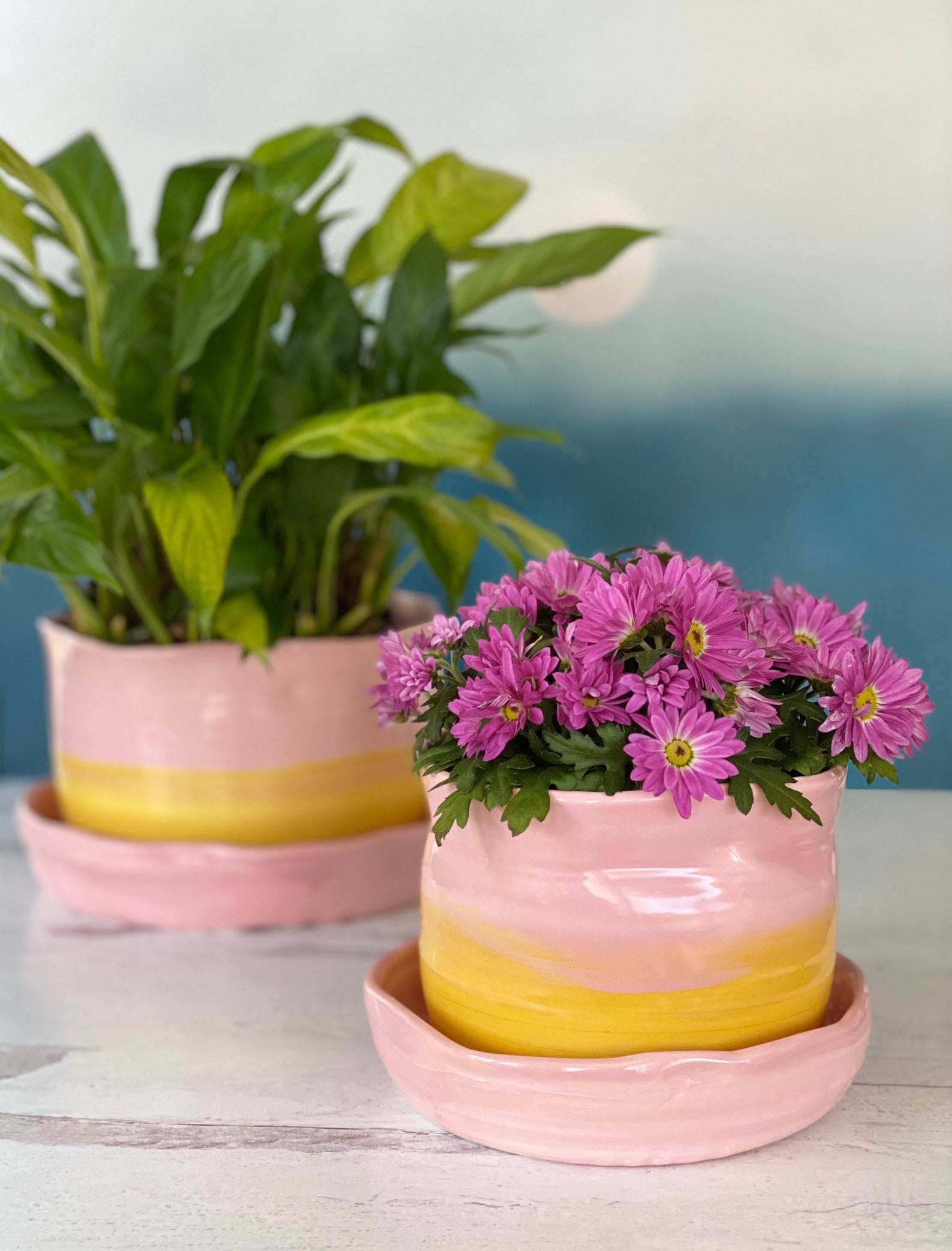 Light Pink Pot Pink Planter Pot Pink Planter Succulent Pot | Etsy Light Pink Pot Pink Planter Pot Pink Planter Succulent Pot | Etsy