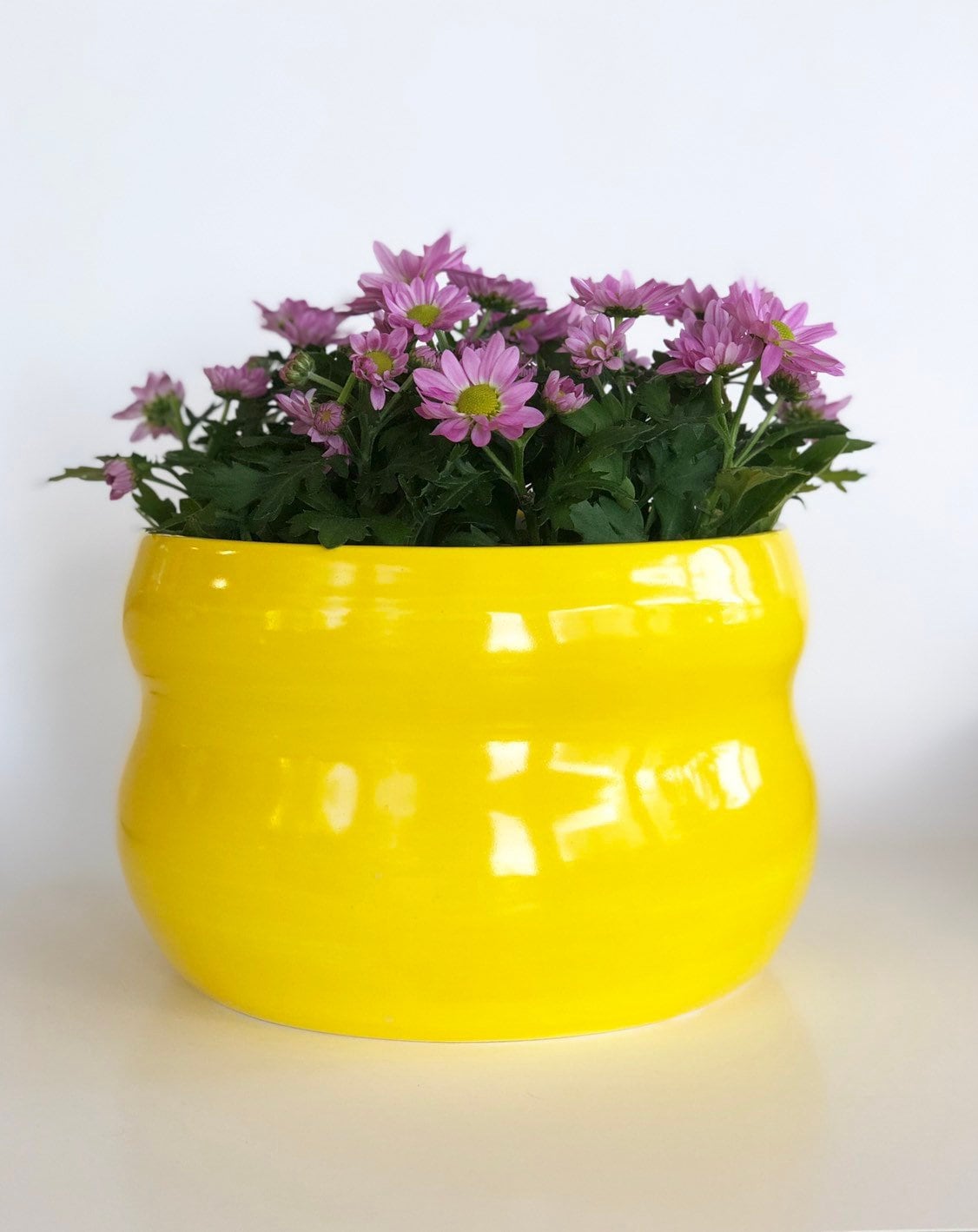 Yellow Planter with Drainage Holes