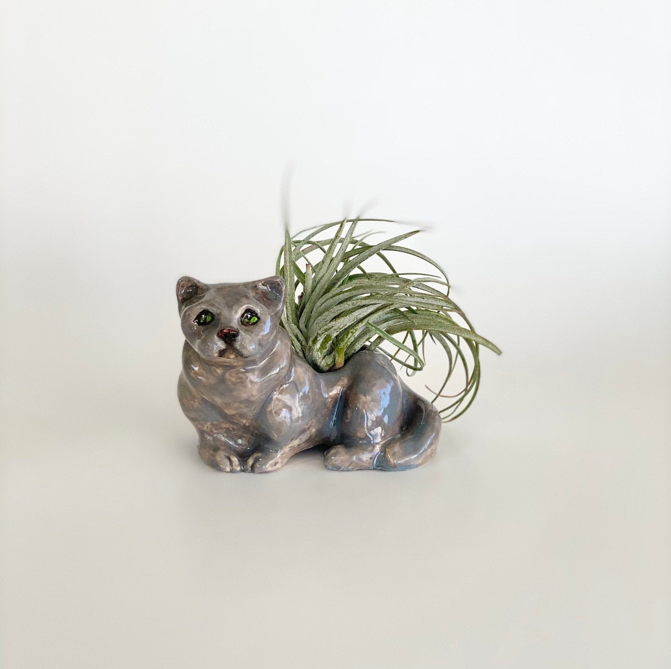 Indoor Cat Pot, Cat Planter, Cat Air Planter, Cat Lady Gift, Planter ...