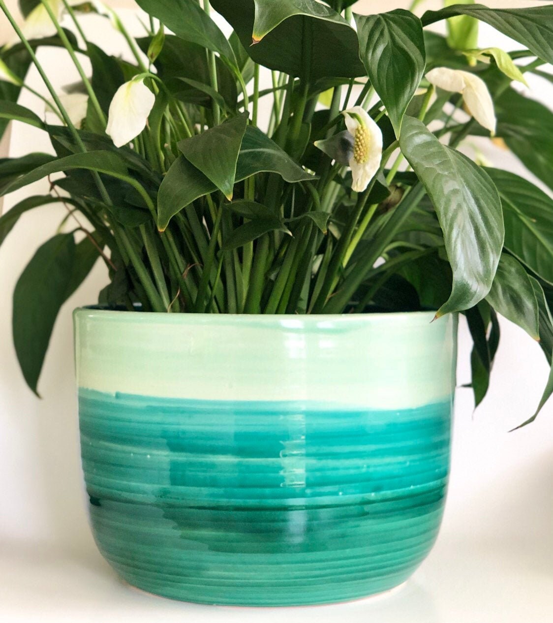 Turquoise & Green Planter Planters & Pots Outdoor & Gardening Home ...