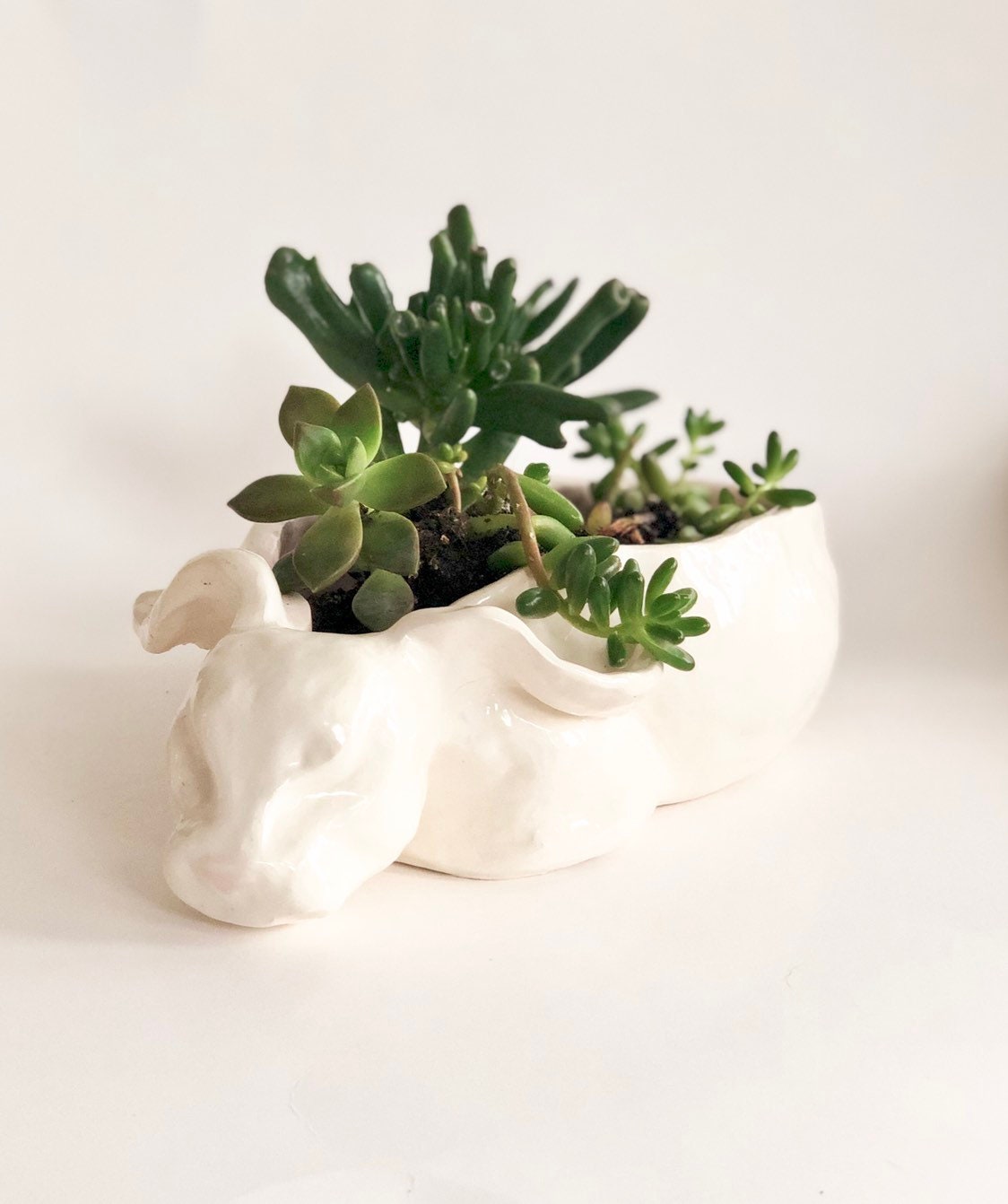 Rabbit Planter, Rabbit Lover Gift, Rabbit Collector, Bunny Planter ...