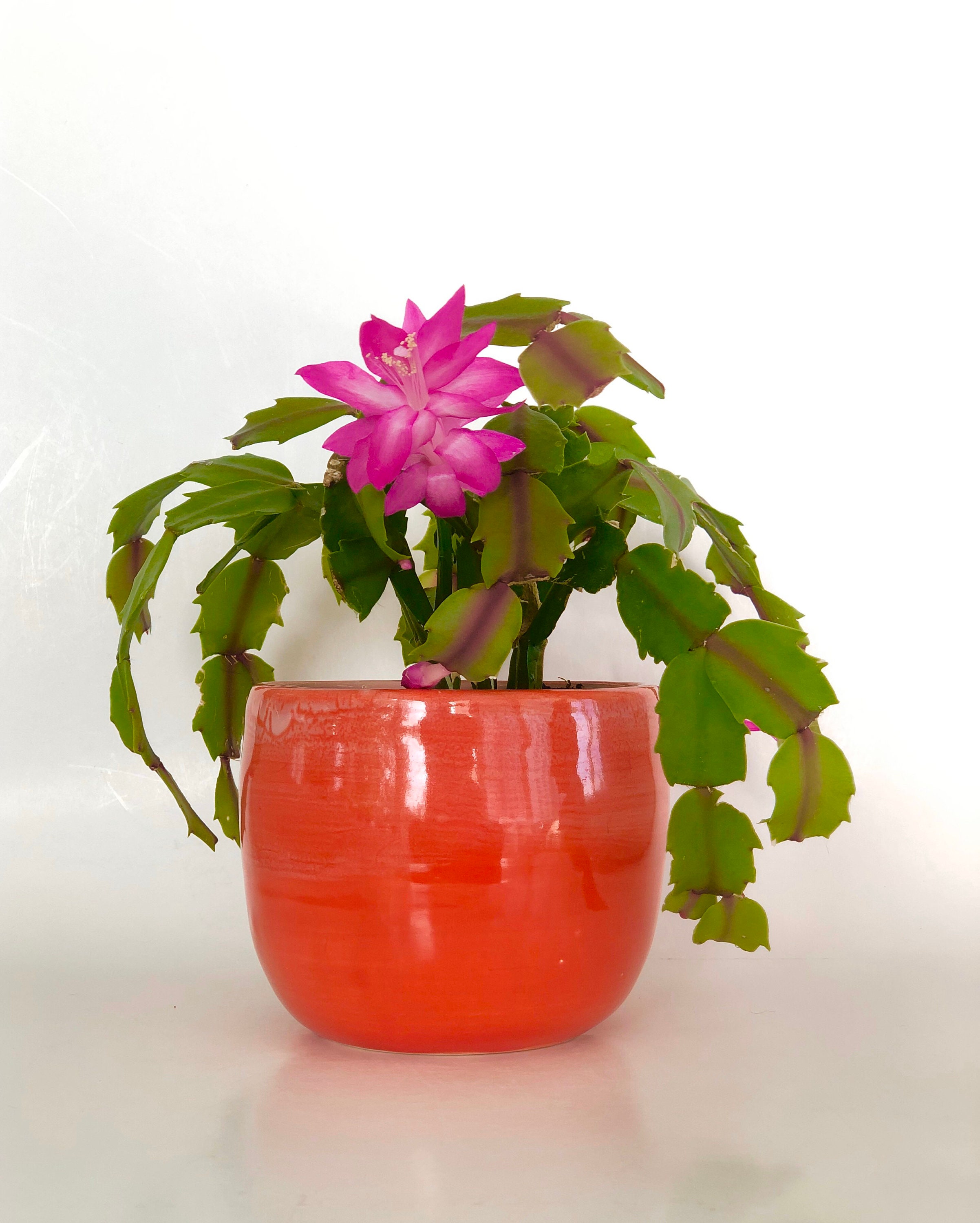 Sunset Red Planter Pot Handmade