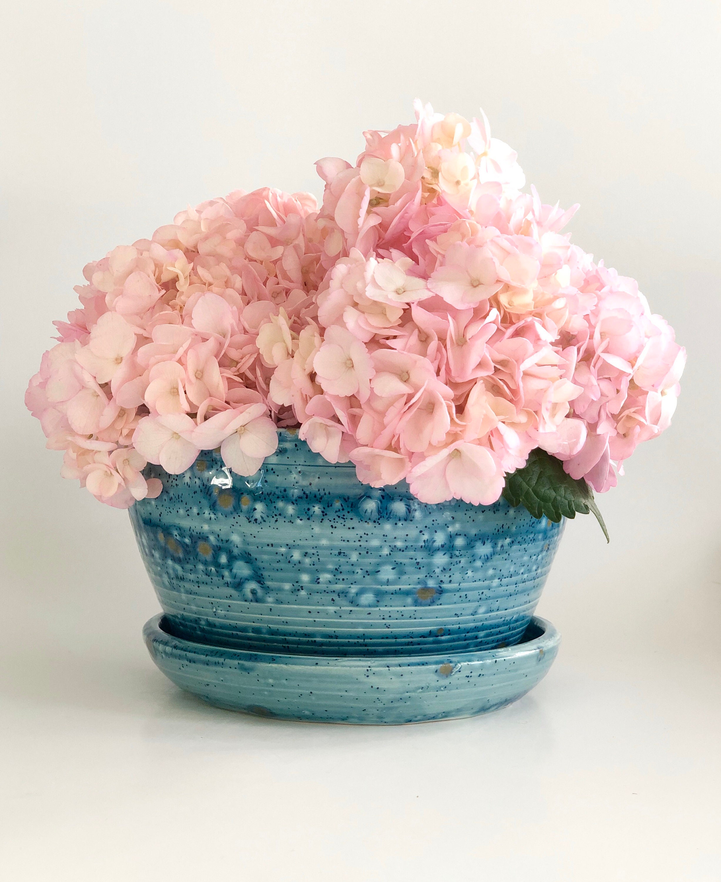 Blue Planter Pot, Planter with Drainage, Pot with Holes, Planter with ...