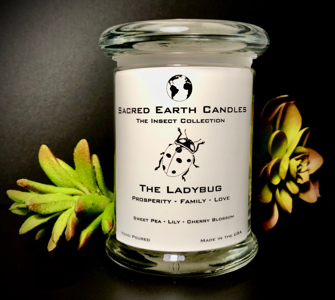 The Ladybug Candle | Scented Soy Candle - Etsy