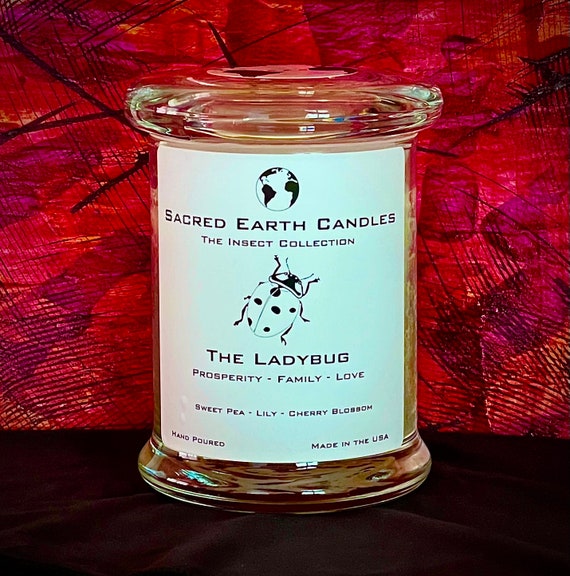 The Ladybug Candle Scented Soy Candle | Etsy