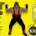 Vader WCW Galoob Style Custom WWF WWE - Etsy