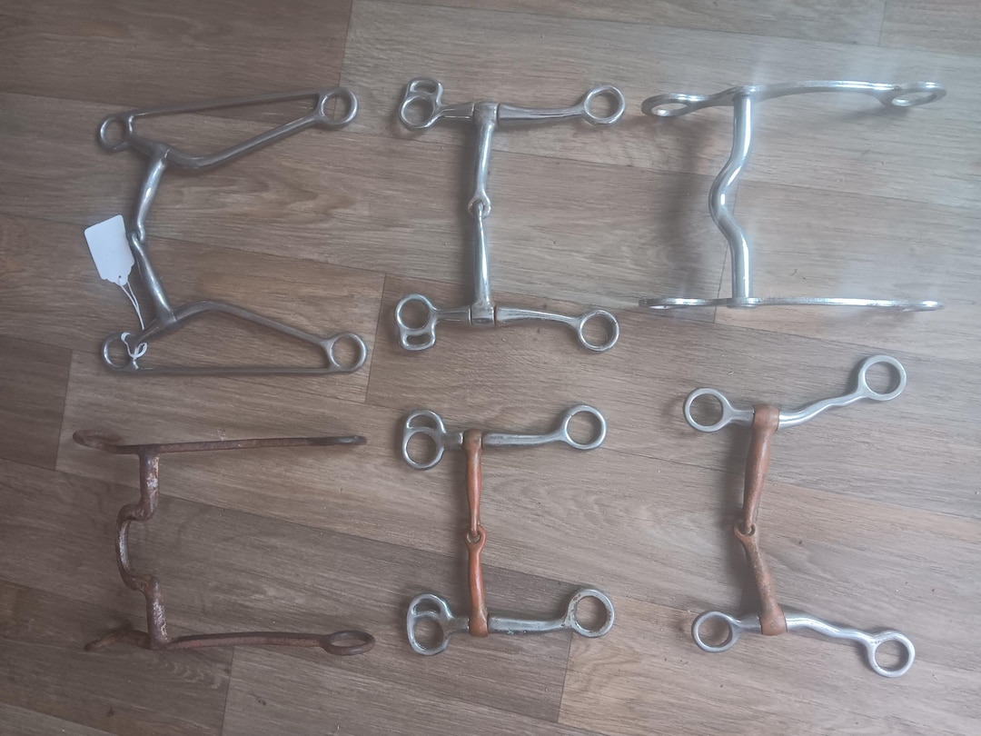 Lot of 6 Western Horse Bits - Decor Crafting Etc - Etsy