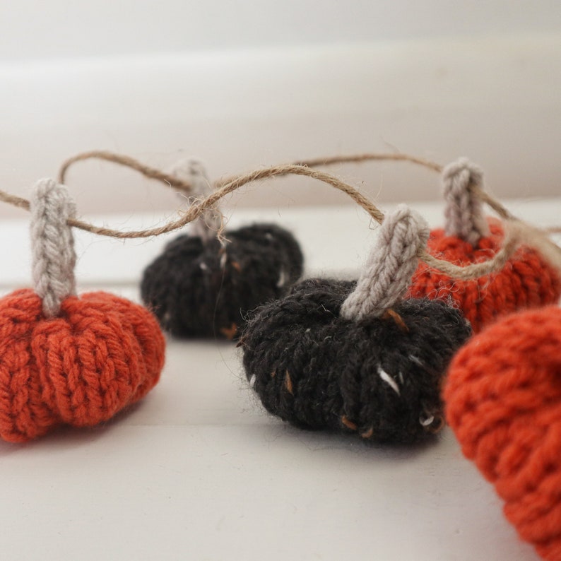 Mini Pumpkin Garland - Etsy