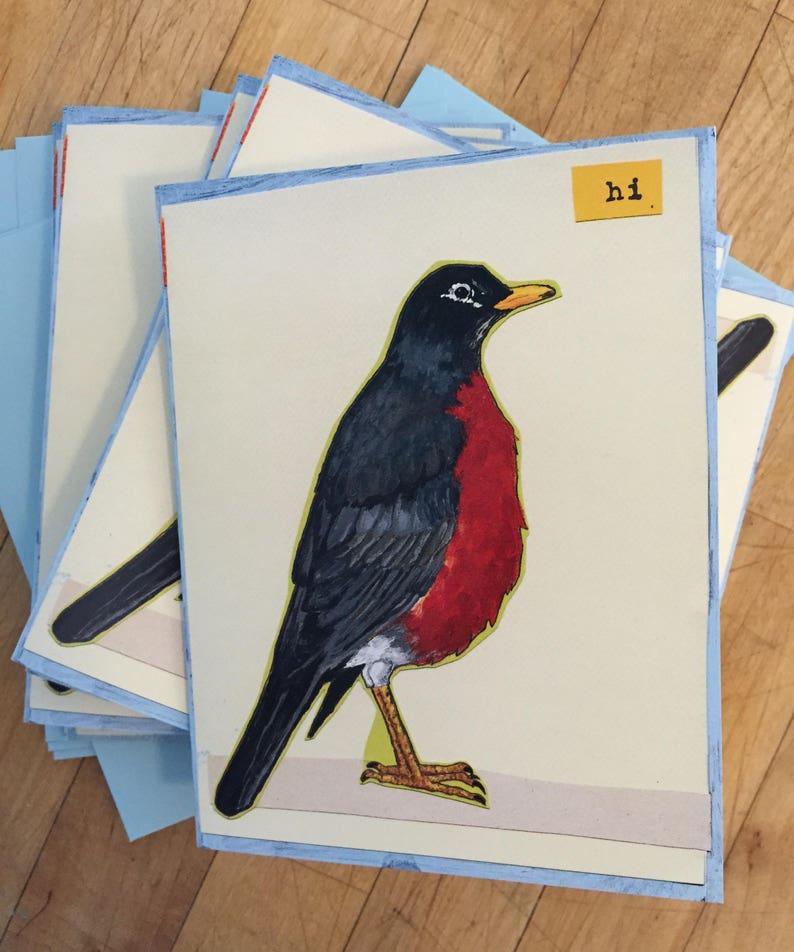 Hi Robin Blank Boxed Note Cards - Etsy
