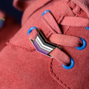 The Rainbow Shoelace Locks