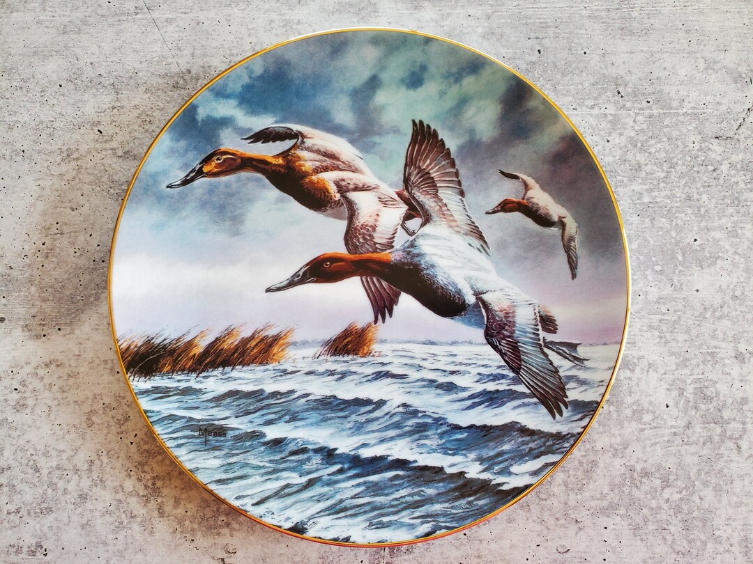 DUCK STAMP PLATE ~ 1990 ~ Canvasbacks ~ David Maass ~ Federal Duck ...