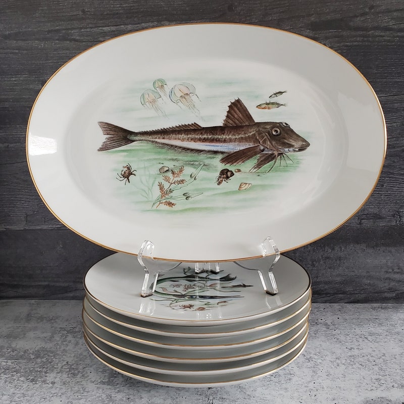 Fish Dinnerware - Etsy