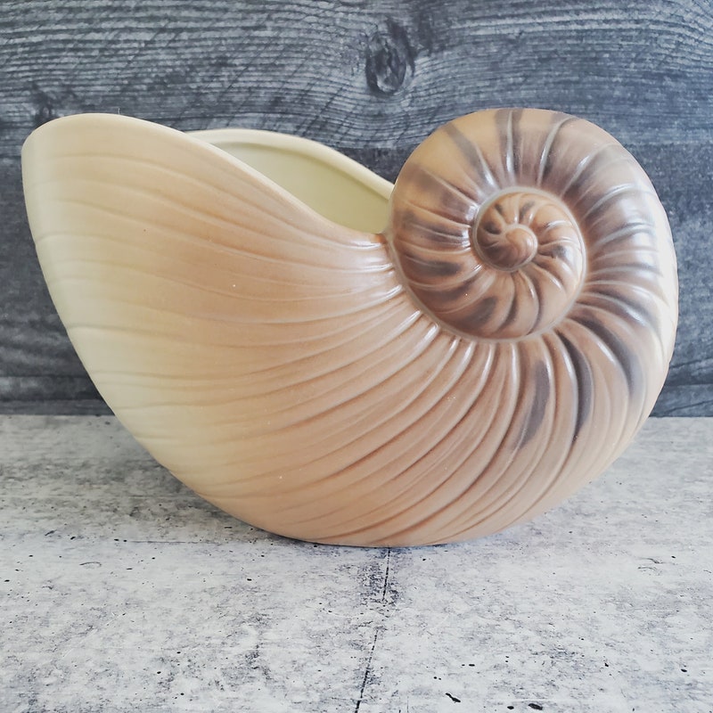 Sea Shell Planters - Etsy