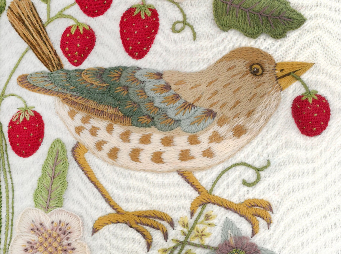 Advanced Crewel Embroidery Kit - the Strawberry Thieves - Etsy