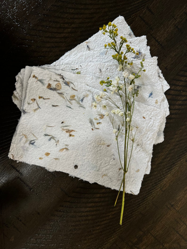 Wildflower Seeded Paper - Etsy