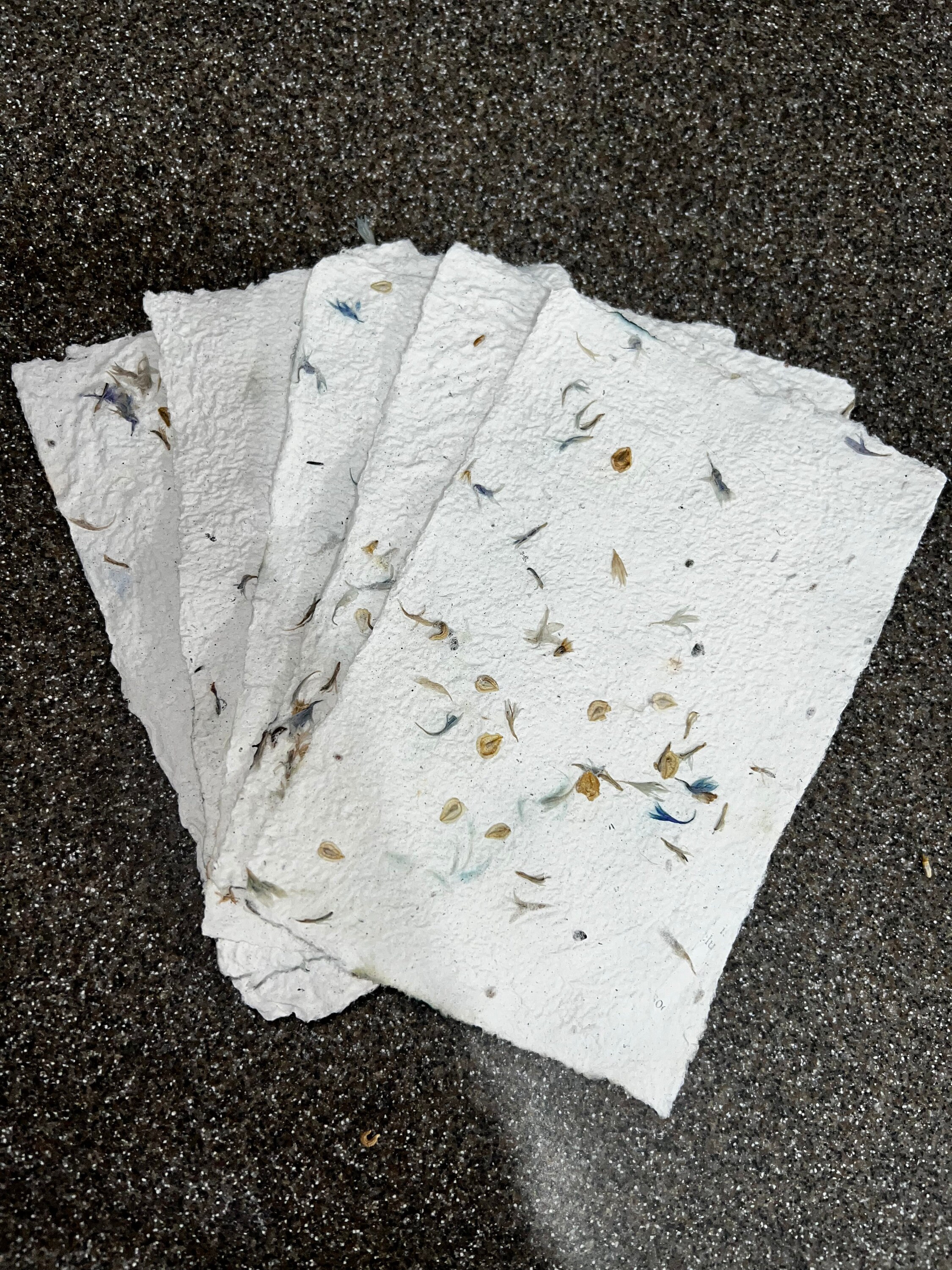 Wildflower Seeded Paper - Etsy
