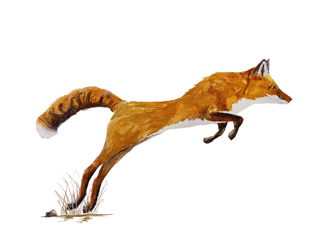 Leaping Fox Print Original Watercolor Painting Wildlife Nature Animal ...