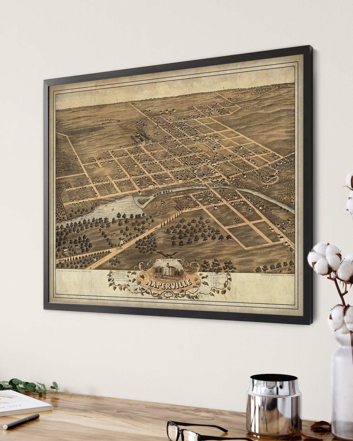 1869 Naperville Illinois Birds Eye View Print: Vintage Aerial Map Art ...