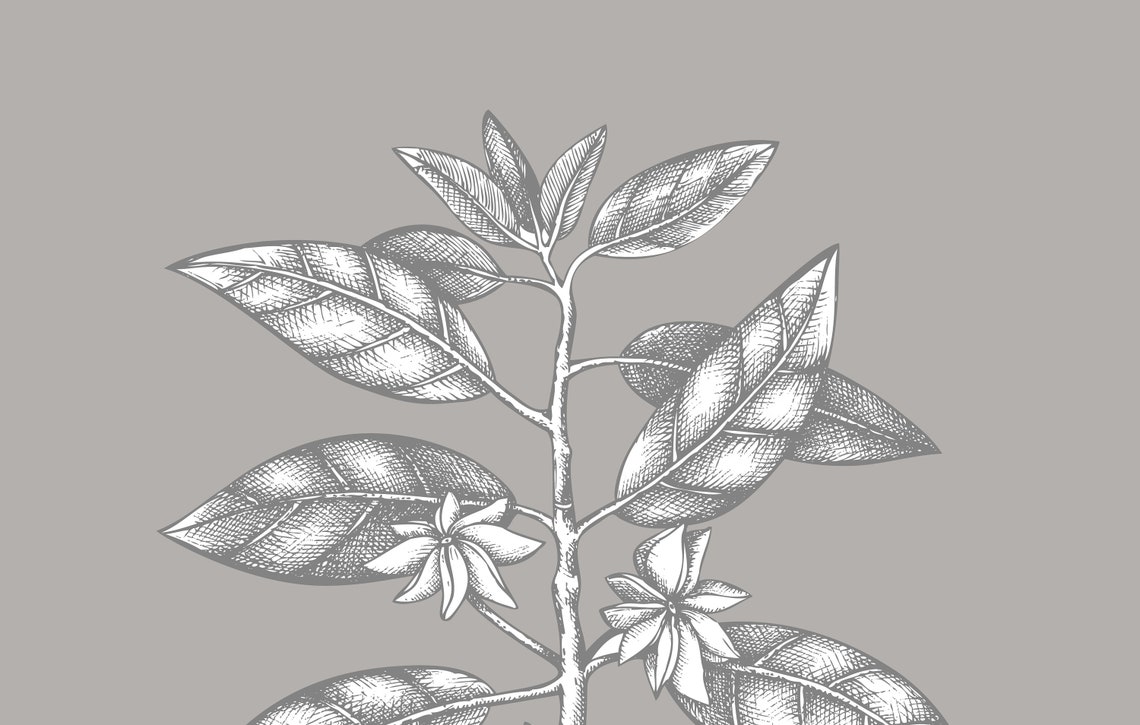 Grey Prints Wall Art Set Set of Prints Art Prints Wall - Etsy