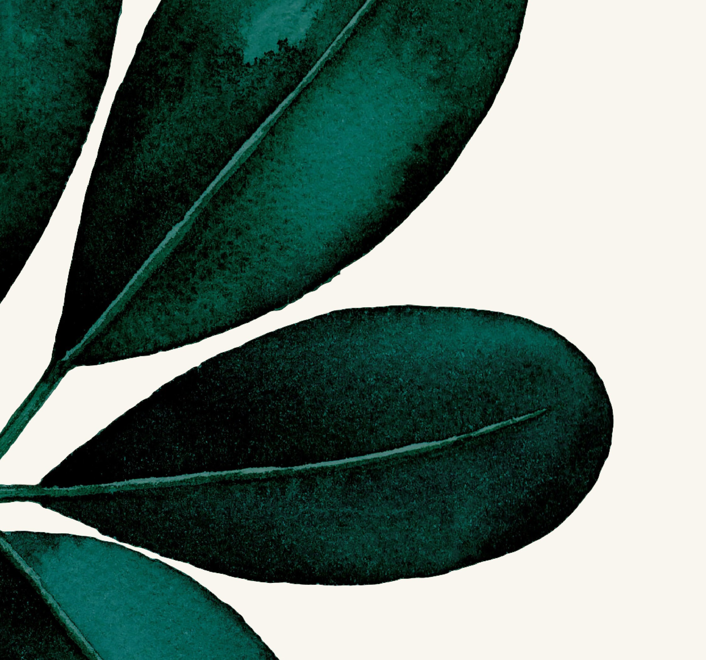 Set of Prints, Botanical Print Set, Green Prints, Set of Green Prints ...