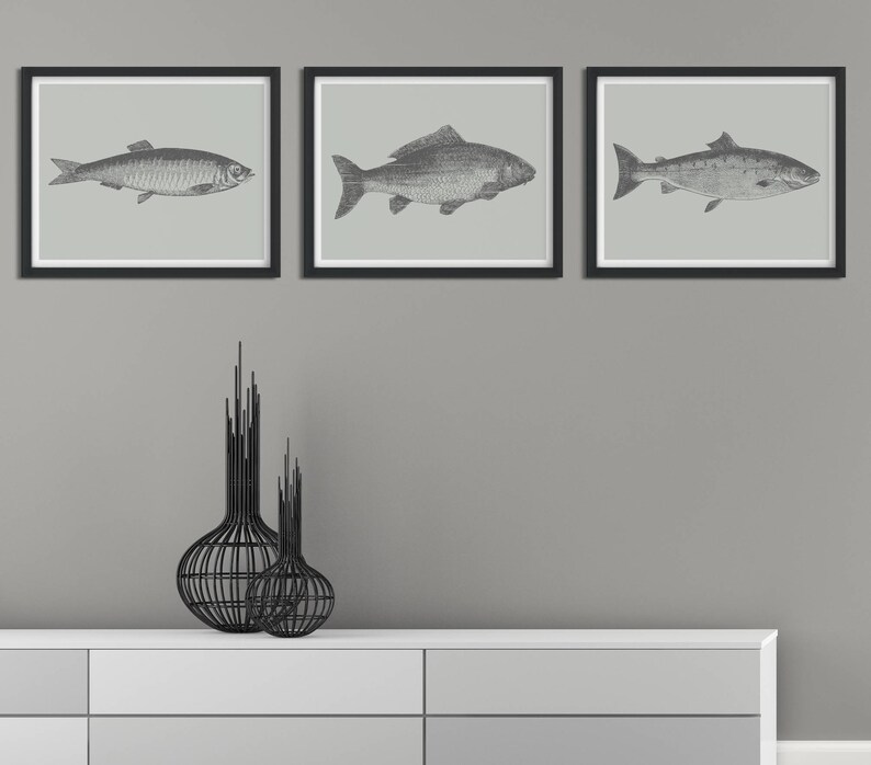 Set of Prints Fish Prints Grey Print Set Fish Wall Art | Etsy