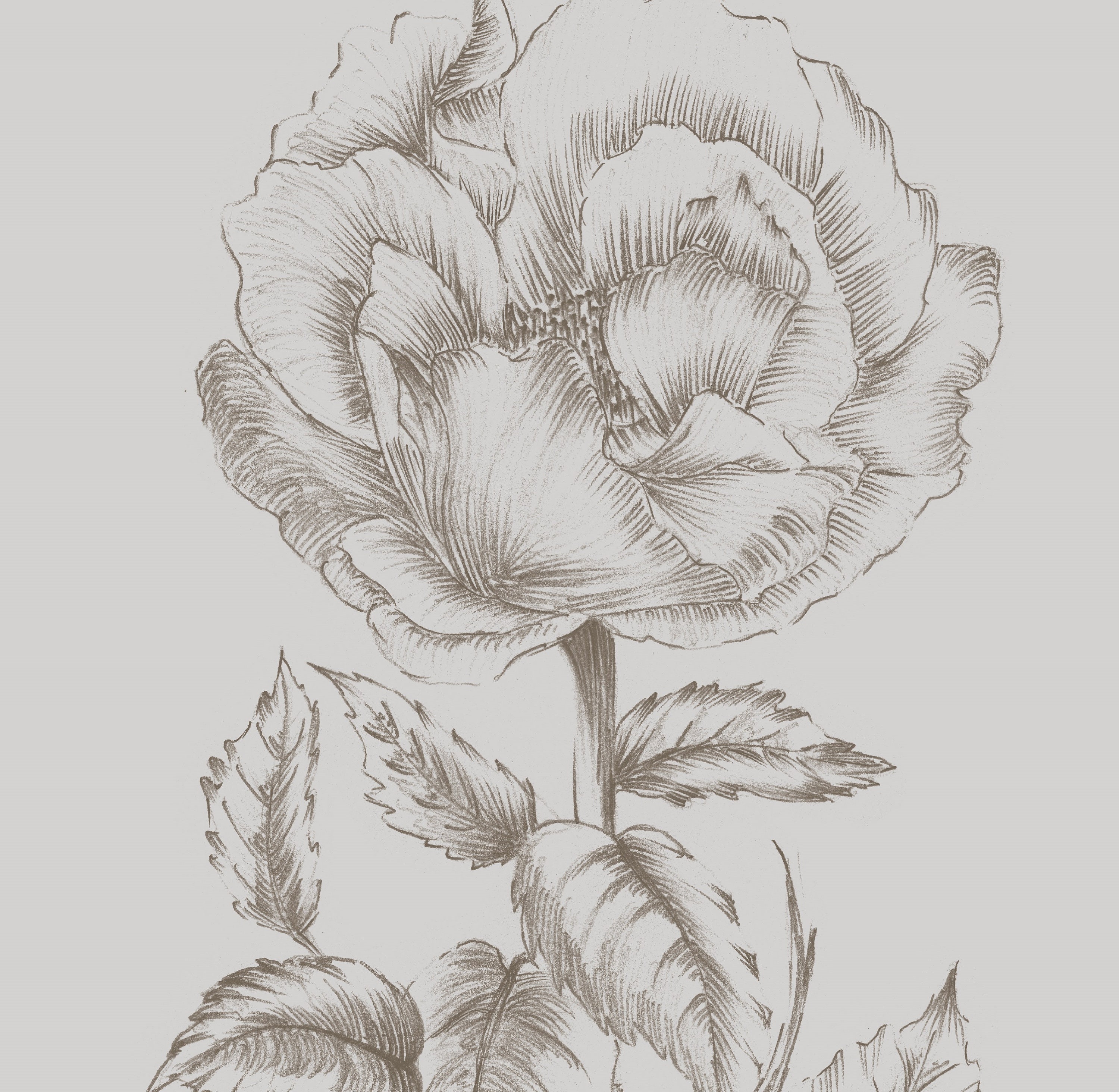 Set of Prints Grey Print Set Wall Art Set Grey Prints | Etsy