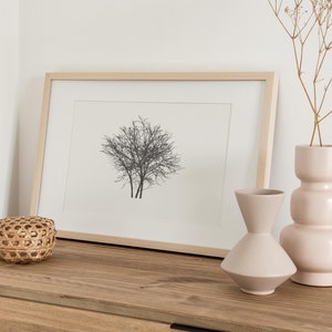 Set of Prints, Black and White, Tree Print Set, Wall Art, Print Set ...