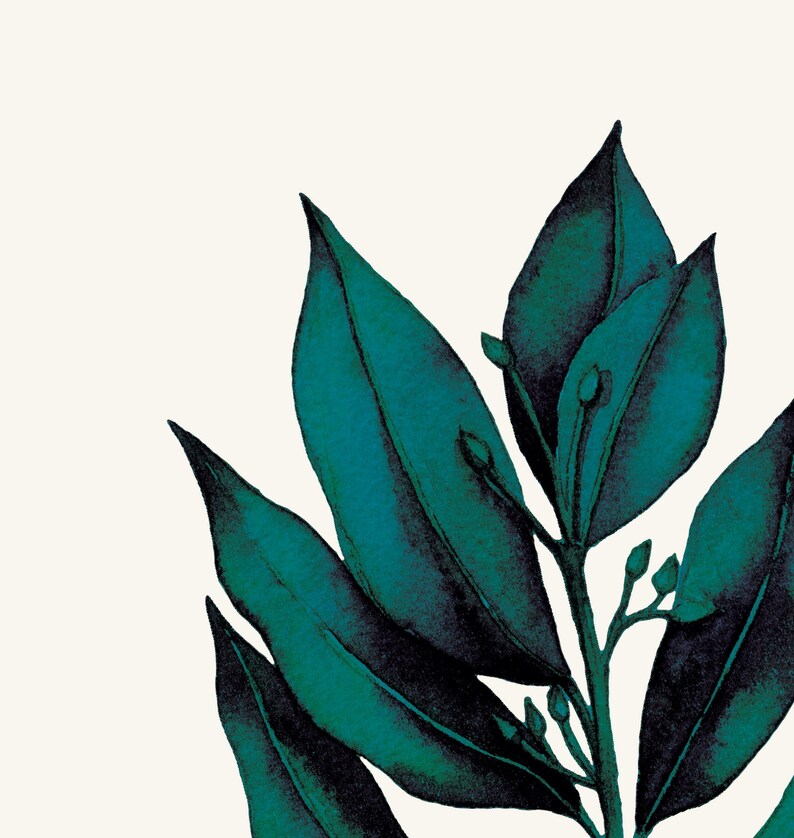 Set of Prints Botanical Print Set Green Prints Set of Green | Etsy