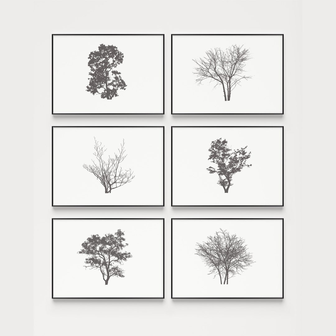 Set of Prints, Black and White, Tree Print Set, Wall Art, Print Set ...
