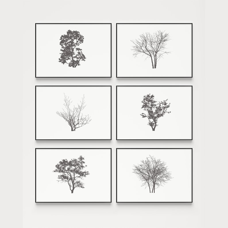 Set of Prints Black and White Tree Print Set Wall Art | Etsy